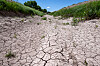 MRGCD halts water delivery to Corrales as Rio Grande levels drop