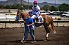 Albuquerque businesses see economic boost as city hosts Ruidoso Downs ...