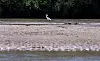 Supreme Court approves Rio Grande water settlement, impacting New ...
