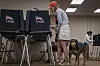 New Mexico primary election: Early voter turnout tops 180,000 ahead of ...