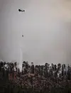 New Mexico wildfires: Jemez Springs evacuations, Torrance County blaze ...