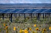BernCo Commission to weigh $1.2 billion in tax abatements for solar project