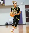 UNM's latest commit is a combo guard from Memphis. Here's what to know ...