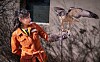 Birds of a feather come together for the for Holiday Wild! | Multimedia ...