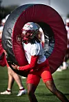 New Mexico football opens fall camp: Local walk-on gets scholarship ...