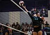 Cleveland sweeps La Cueva to win Albuquerque Metro volleyball ...