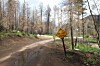 OPINION: FEMA employing 'liberal' food and beverage plan for wildfire ...