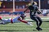 St. Pius football inches closer to Class 4A state championship game ...