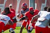 UNM football position preview: Dampier enters first season as ...
