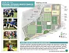 First Kick at the Mesa Del Sol Sports Complex | Good News | abqjournal.com