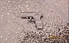 Man fatally shot by State Police was wielding BB gun | News ...
