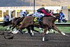 All American Futurity: New Mexico-bred horses go 1-2 in photo finish ...