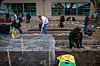Planting positivity: Walmart volunteers help create a restorative ...