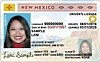 Deadline for Real ID is tomorrow: Here's what New Mexicans need to know ...