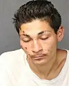 APD charge 7 people after allegedly stealing city-owned bait cars ...