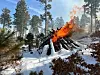 Cerro Pelado Fire was started by U.S. Forest Service pile burns, agency ...